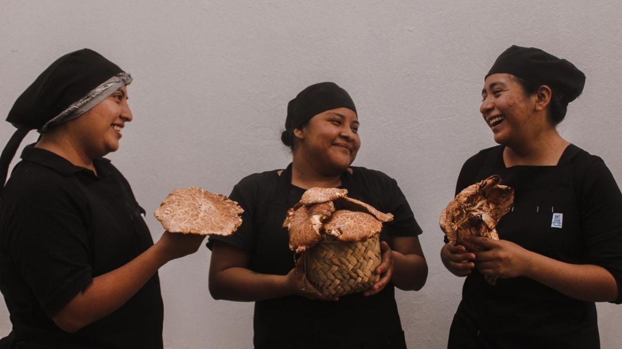 Restaurante Levadura de Olla en OAXACA nombrado entre los 100 mejores ... Restaurante Levadura de Olla en OAXACA nombrado entre los 100 mejores ...